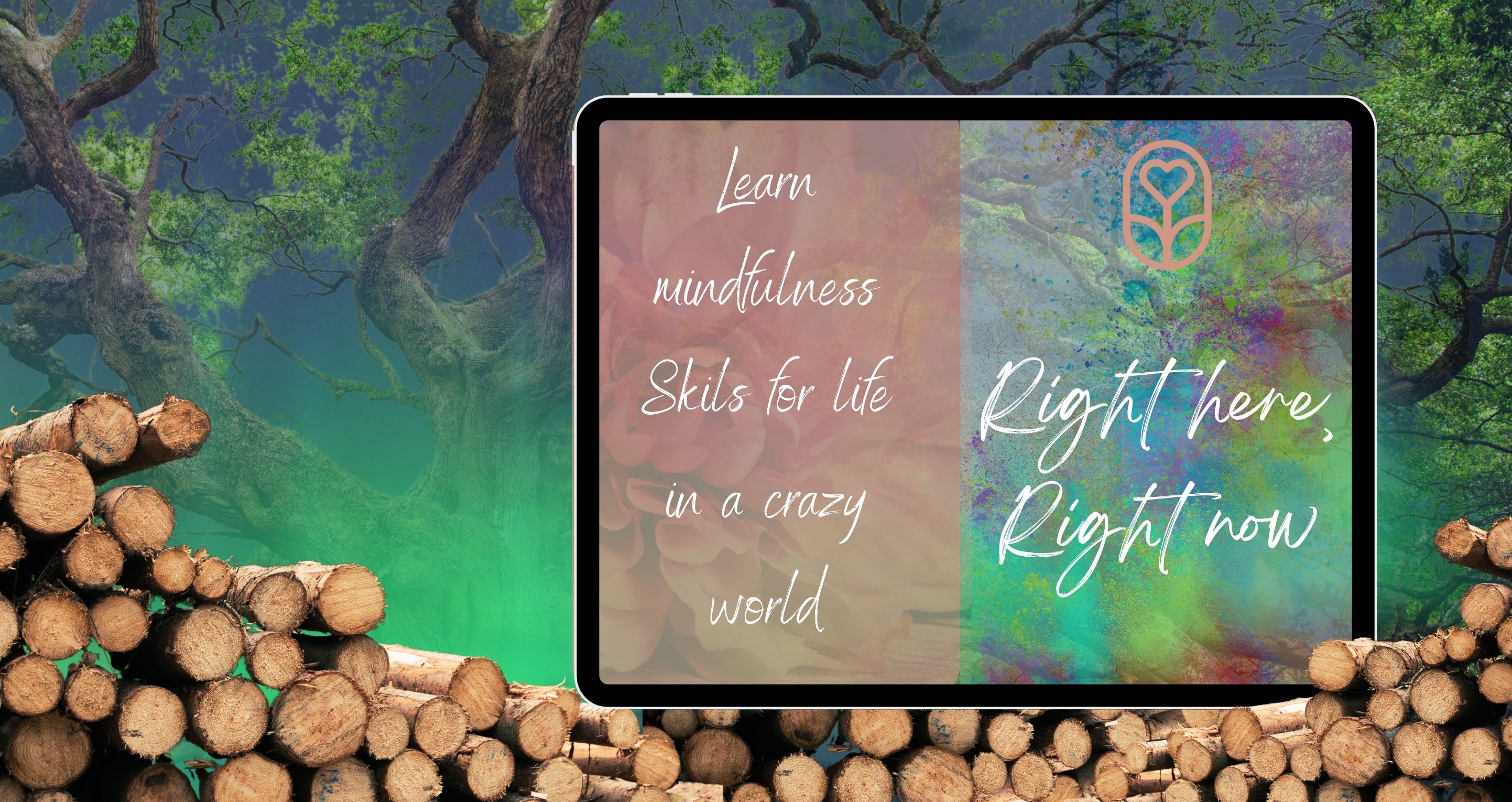What is Mindfulness? - Right Here, Right Now - The Harvest Method